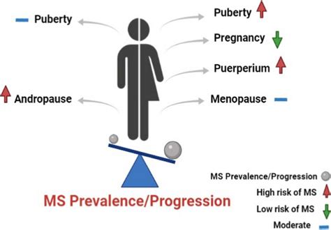 Ms Prevalence Progression Diagram In Men And Women Download Scientific Diagram