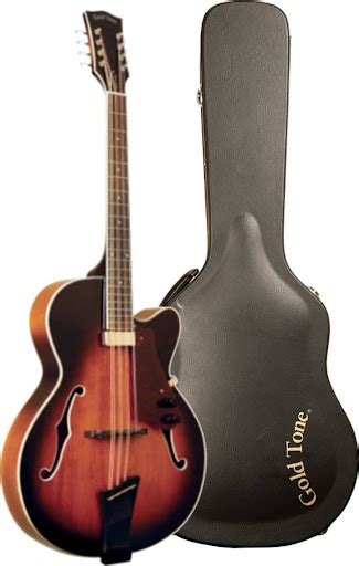 12 String Mandolin Guitar For Sale 2025 Update Remix Mag