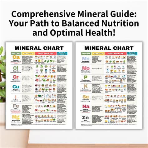 Mineral Chart Cheat Sheets Visual Guide For All 14 Minerals Mineral