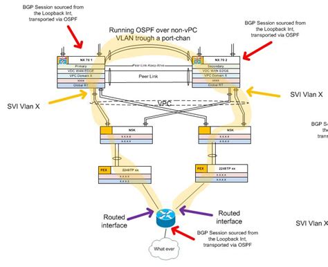 Nexus 7000 Bgp Routing Design Question Vpcnon Vpc Vlan Cisco Community