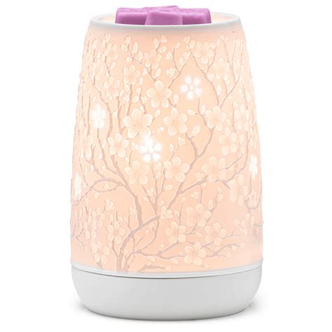 Sakura Warmer