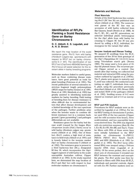 Pdf Identification Of Rflps Flanking A Scald Resistance Gene On Barley Chromosome 6