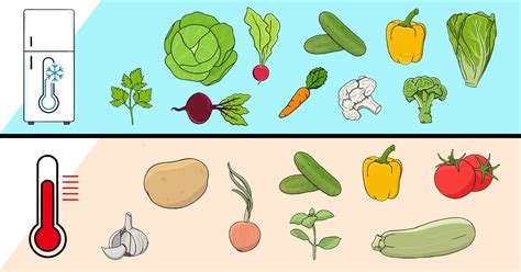 Как правильно хранить овощи чтобы они долго не портились Бери и делай