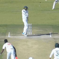 Crickets Meme S Download And Share