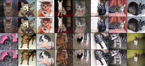 Figure 15 From Robustness Of Unsupervised Representation Learning Without Labels Semantic Scholar