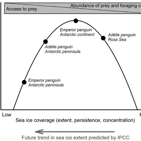 Conceptual Model Adapted From Smith Et Al 1999 Illustrating The