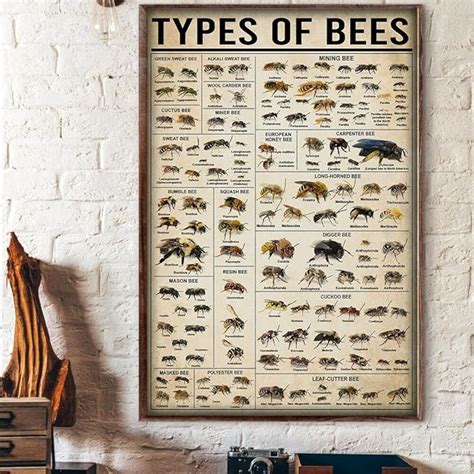 Curteny Vintage Metal Tin Sign Types Of Bees Knowledge Bee