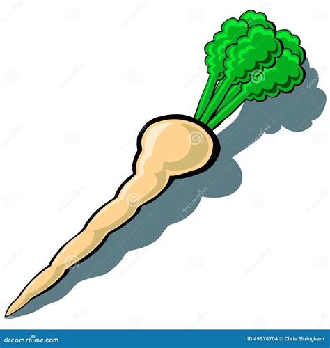Parsnip Cartoons Illustrations And Vector Stock Images 2178 Pictures