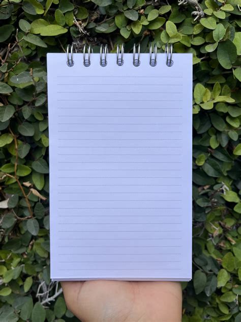 Libreta Chica Color Ilustre