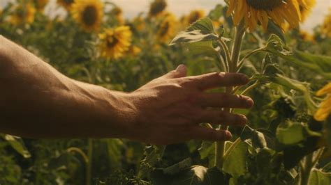 Tim Morton On Linkedin Tim Morton Imaging