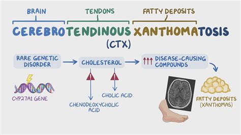 Xanthomatosis 2