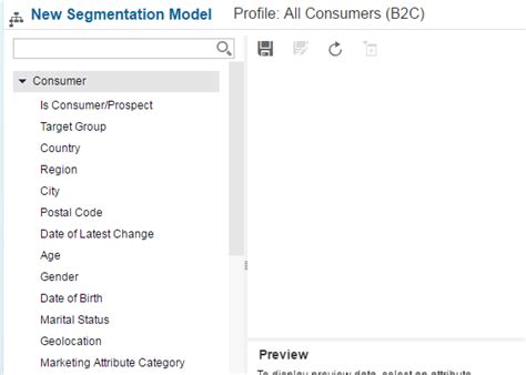 Solved Customizing Segmentation Attributes Sap Community