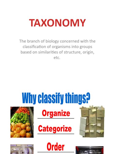 Seven Levels Of Classification Grade 6 Pdf Taxonomy Biology Genus