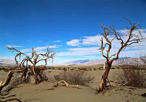 Why You Should Visit Death Valley California Pt 2