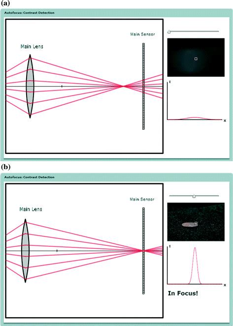 Contrast Based Autofocusing 8 A Out Focused B Focused Download Scientific Diagram