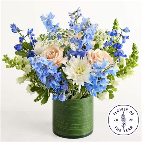 1 800 Flowers Plant Flower Of The Year 2026 Money Tree Delphinium
