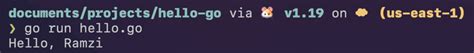 local development environments for go using asdf dev community