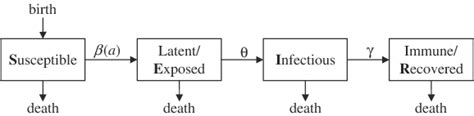 Schematic Diagram Of A Dynamic Compartmental Seir Model Download