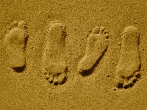 Free Images Beach Sand Texture Footprint Footstep Steps Summer Foot Soil Material