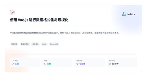 转换和格式化表格数据 前端开发教程 labex