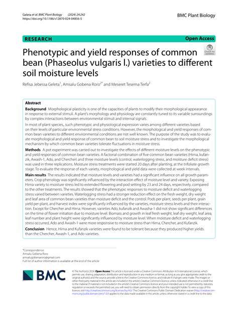 Pdf Phenotypic And Yield Responses Of Common Bean Phaseolus Vulgaris
