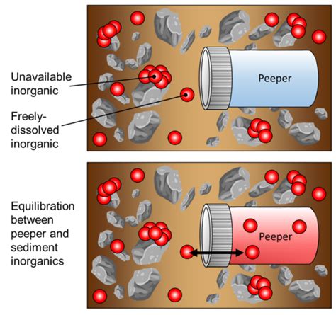 Sediment Porewater Dialysis Passive Samplers For Inorganics Peepers