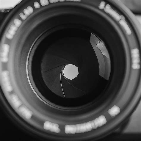 Composition Unleashed Mastering The Art Of Visual Storytelling Through Framing And Arrangement