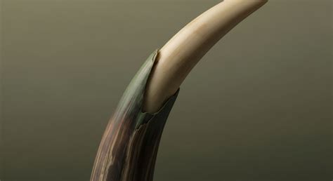 How Does Recycling Conserve Resources → Question How Does Recycling Conserve Resources → Question