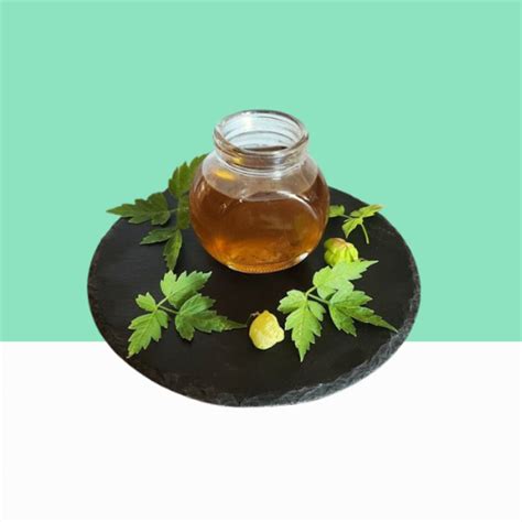 Mudakathan Oil Buy Herbs Bulk Online Herbal Apothecary