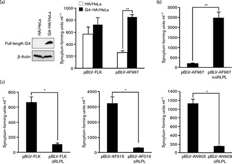 Examination Of The Deletion Mutation By In Vitro Assay Using A Download Scientific Diagram