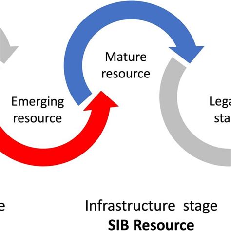 The Life Cycle Of A Bioinformatics Resource Download Scientific Diagram