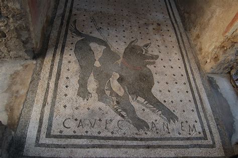 Opus Pessellatum Cave Canem Interpretacion De Uno De Los Cave Canem