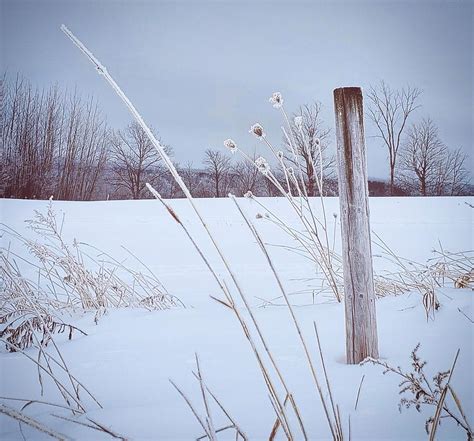 Frozen Field Photograph By Amy Stever Fine Art America