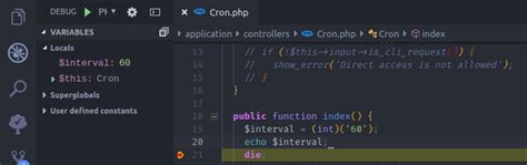 Php Variable Get Set Only If I Use Vardump Or Echo Not With