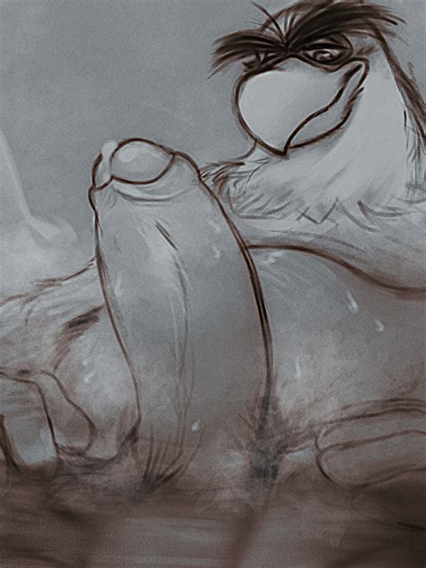 Rule 34 34 Accipitrid Accipitriform Angry Birds Anthro Avian Bald