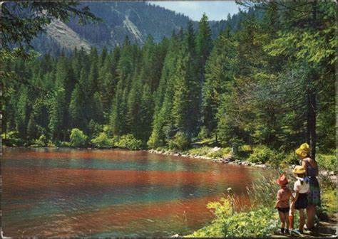 Lago Di Tovel Il Lago Rosso Tutto Quello Che Hai Sempre Voluto Sapere