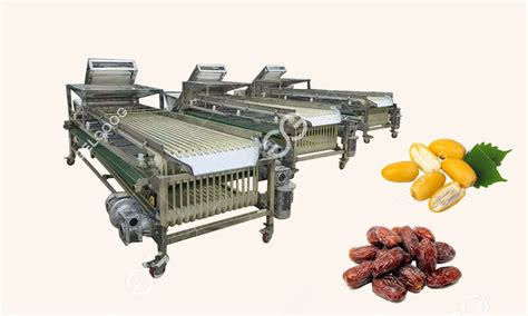 date sorting machine for industrial