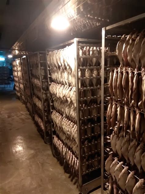 Fish Drying Equipment Freeze Dryer Fish Drying Machine Smoked Fish