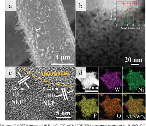 Figure 2 From Construction Of A Self Supporting Ni2p Wo3 Heterostructure For Highly Efficient