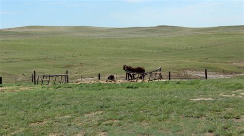 East Montana Grass Ranch Sold Scott Western Realty