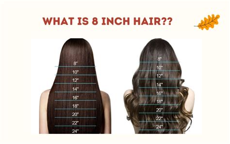 8 Inch Hair A Style Guide For Trendy And Confident Looks