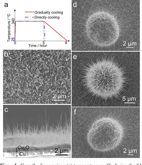 Figure 1 From Stress Induced Growth Of Well Aligned Cu2o Nanowire Arrays And Their Photovoltaic
