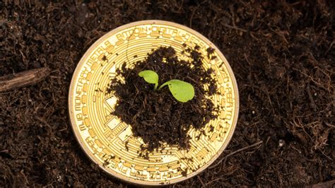 How Do Colocation Data Centres Handle The Power Needs Of Bitcoin Mining Operations Bitcoin