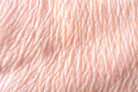 Mature Skin Texture Photos Download Free High Quality Pictures Freepik