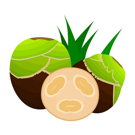 Atep Fruit Is A Fruit That Is Commonly Found In Southeast Asia Which Is Usually Processed Kolang