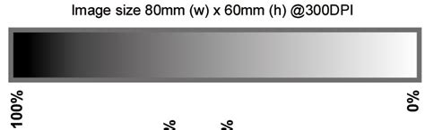 Laser Engraving Doesnt Maintain Constant Speed Lightburn Software Questions Lightburn