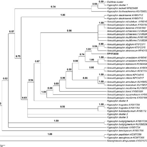 A Phylogenetic Tree Generated By Bayesian Analysis From Actin Dataset