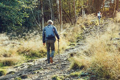 배낭과 나무 기둥 오르막이있는 백 뷰하이커는 추적 중에 가을 숲을 통과합니다 여행 라이프 스타일 방랑 자 모험 여행 관광 자유와
