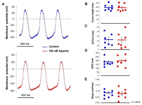 Action Potential Recordings From Isolated San Cells By Perforated Download Scientific Diagram