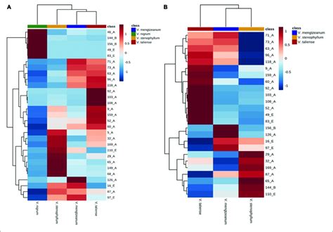 Hierarchical Clustering Heatmaps Of Selected Variables Each Colored